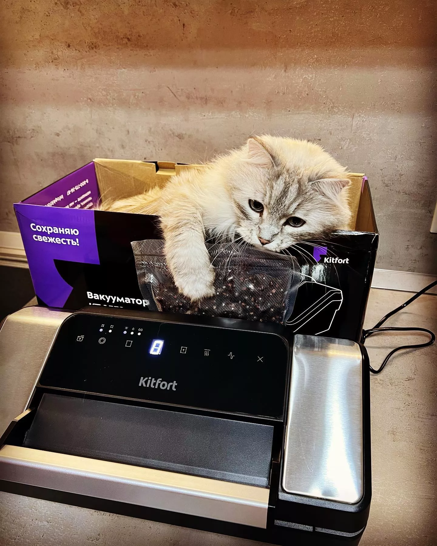 Вакууматор Kitfort KT-1532 купить по цене 9 990 ₽: отзывы, фото ...