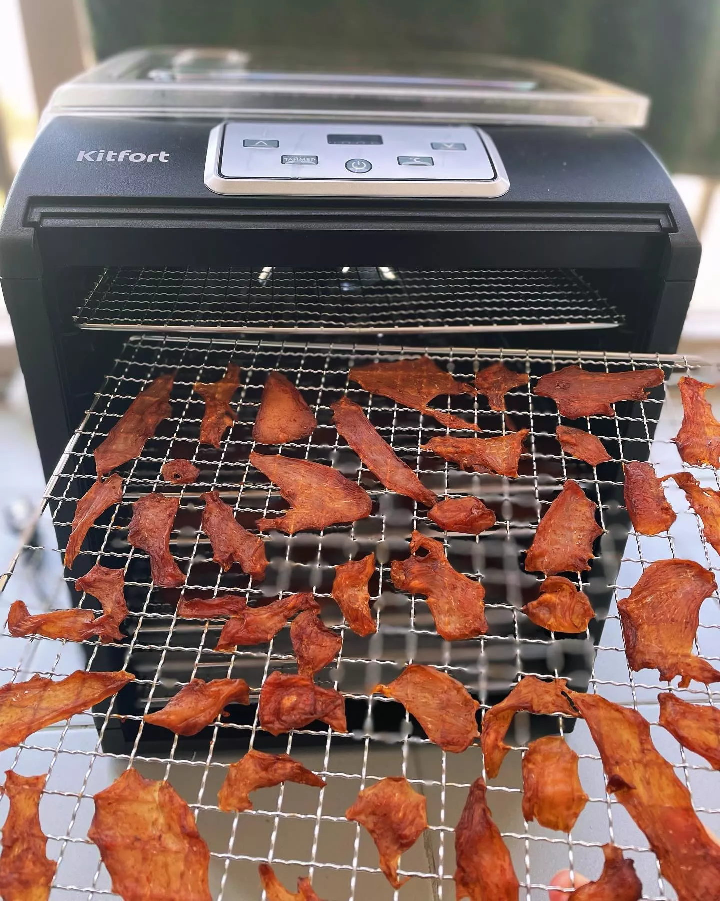 Промышленная сушилка Kitfort KT-1908 для овощей и фруктов купить по цене 16 990 ₽: отзывы, фото ...